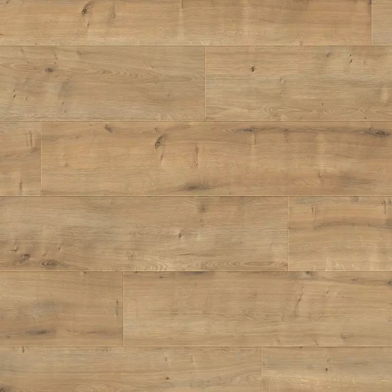 Parquet stratifié 8mm Chêne Taylor-Revêtement Maroc